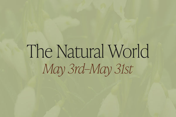The Natural World - Spring Show 2025 – Don Drumm Studios